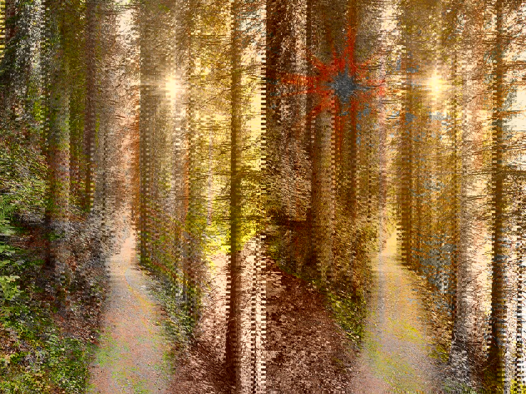 XRB publishes comparison document for NZ CS and IFRS S1 and S2